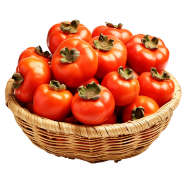 PERSIMMON ORANGE RED, Set of 12 – THE YARD QATAR